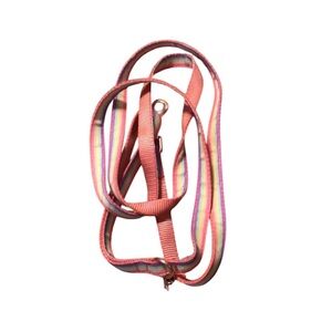 Dog | Rainbow Stripped Bow Dog Leash 6ft | Poshmark